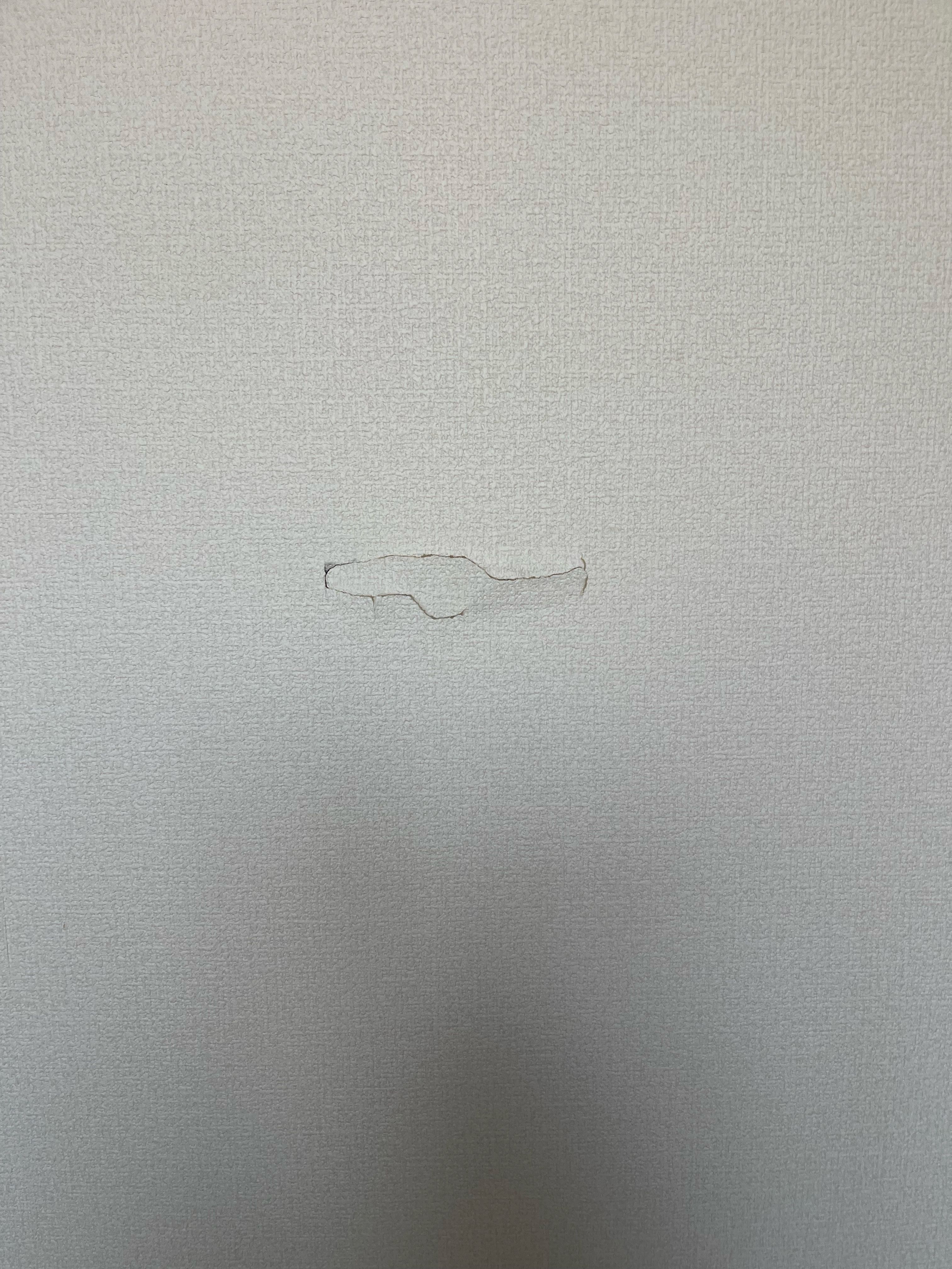 壁紙補修⑥ | アトリエリィリィ - くらしのマーケット