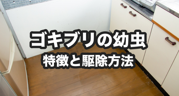 ゴキブリの幼虫の特徴と効果的な駆除方法｜卵からかえる春は要注意 - くらしのマーケットマガジン