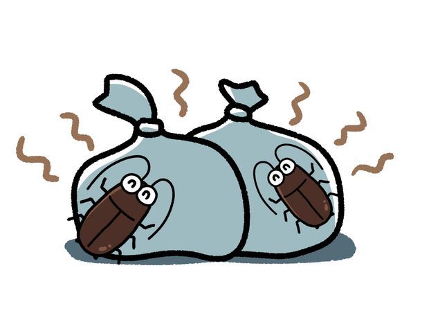 ゴキブリは寿命が短いけれど、繁殖力がスゴイ！ 注意点と対策について解説 - くらしのマーケットマガジン